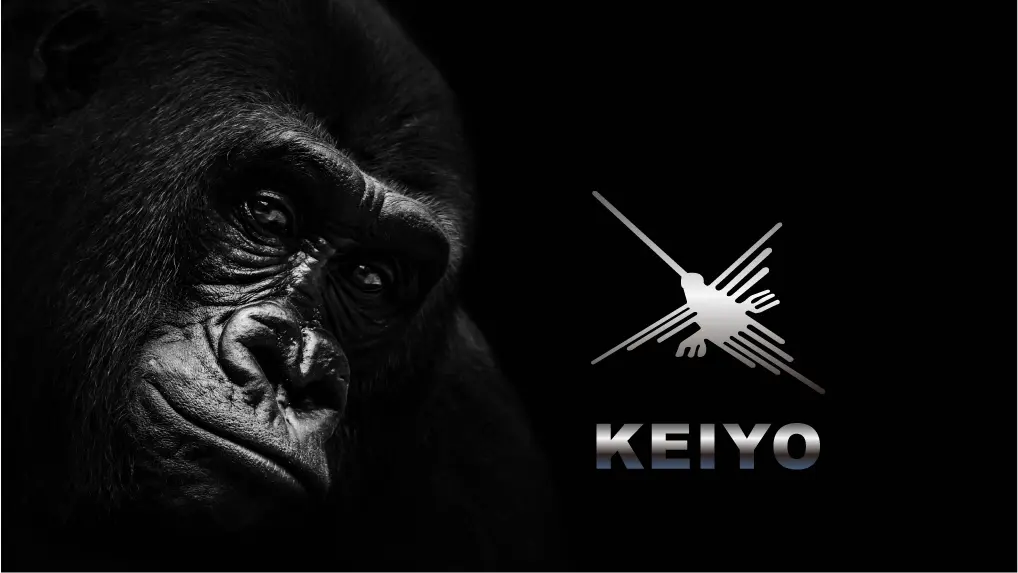 動画制作・WEBデザイン・印刷・看板・販促や集客に強い広告会社をお探しですか？ ｜京葉広告社 - 東京・千葉の動画制作・WEB制作・ブランディングデザイン会社